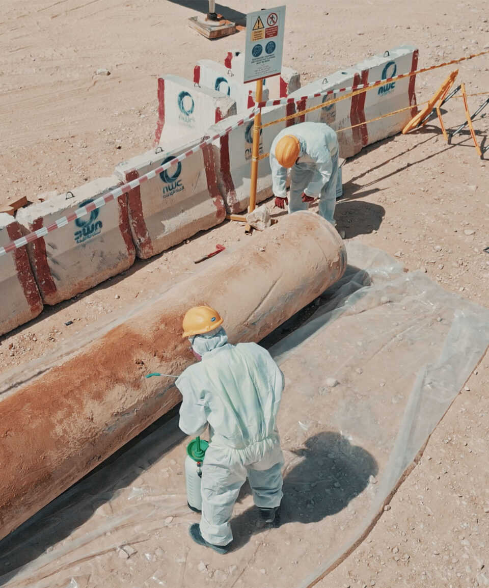 Asbestos Management – Environmental Horizon