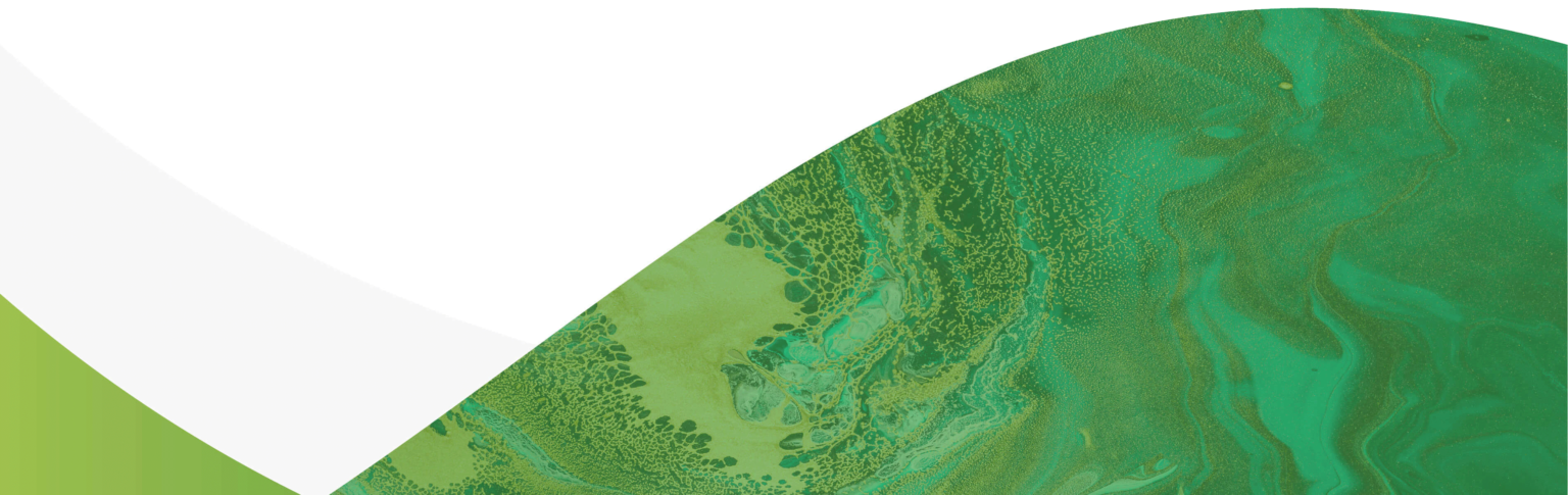 About Us – Environmental Horizon